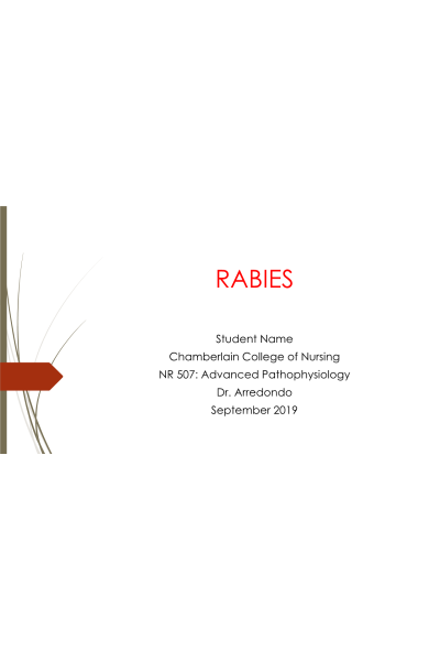 NR 507 Week 2 Disease Process Assignment; Part 1 - Rabies | Course ... NR 507 Week 2 Disease Process Assignment; Part 1 - Rabies | Course ...