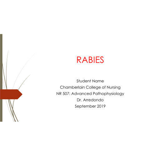 NR 507 Week 2 Disease Process Assignment; Part 1 - Rabies | Course ... NR 507 Week 2 Disease Process Assignment; Part 1 - Rabies | Course ...